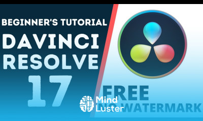 Learn How to Use DaVinci Resolve 17 Designed for Beginners - Mind Luster