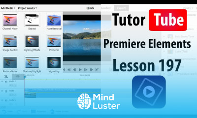 Learn Premiere Elements Lesson 197 Horizontal and Vertical Flip - Mind Luster