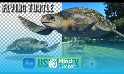 Learn I Create Flying Turtle VFX in Blender Blender VFX Tutorial - Mind Luster