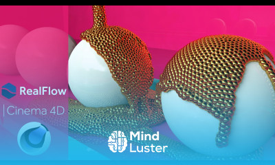 Learn C4D Tutorial RealFlow Particle Animation - Mind Luster