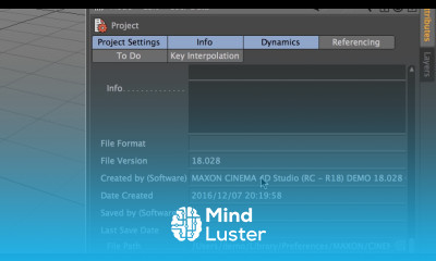 Learn Cinema 4D QuickStart 06 The Attribute Manager - Mind Luster
