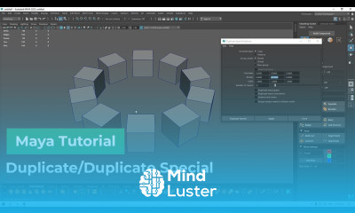 Learn Maya Tutorial for Beginners Duplicate Duplicate Special - Mind Luster
