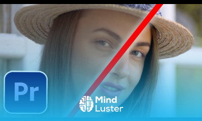 Learn AUTOMATIC Color Correction in Premiere Pro 2022 - Mind Luster