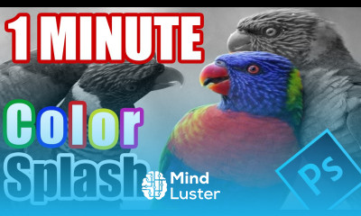 Learn Photoshop CC Tutorial How to Color Splash Partial Black and White ...