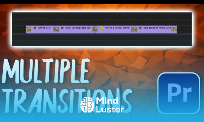 Learn How to Add Transitions to Multiple Clips at Once in Premiere Pro - Mind Luster