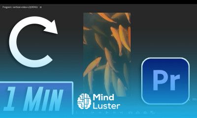 Learn Premiere Pro How to Rotate Video Portrait to Landscape - Mind Luster
