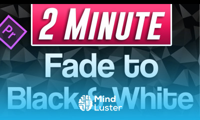 Learn How to Fade to Black and White Tutorial Premiere Pro - Mind Luster