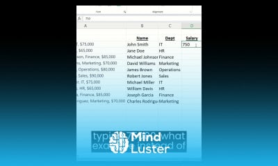 Learn Quickly Split Data in Excel into columns with Flash fill - Mind Luster