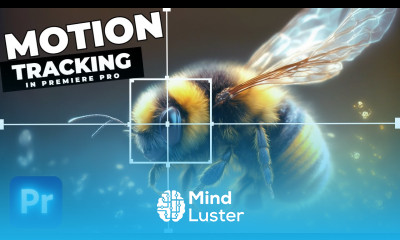Learn How To MOTION TRACK Objects In Premiere Pro - Mind Luster