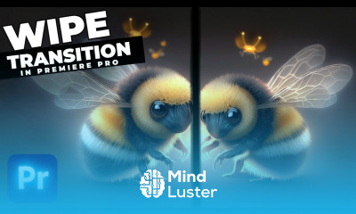 Learn How To Add An ANY DIRECTION Wipe Transition In Premiere Pro ...