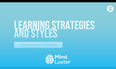 Learn Learning Strategies and Styles - Mind Luster