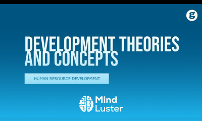 Learn Organization Development Theories and Concepts - Mind Luster