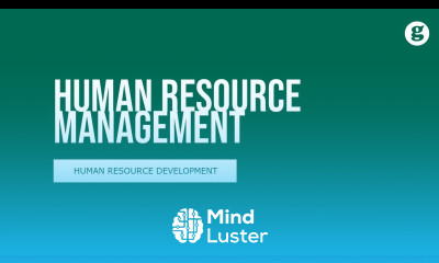Learn Human Resource Management Programs and Processes - Mind Luster