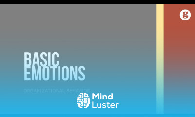 Learn Basic Emotions - Mind Luster