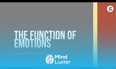 Learn The Function of Emotions - Mind Luster