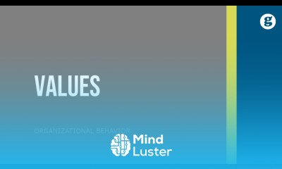 Learn Values - Mind Luster