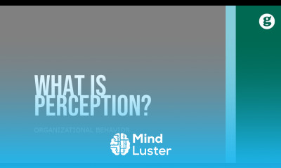 Learn What is Perception - Mind Luster