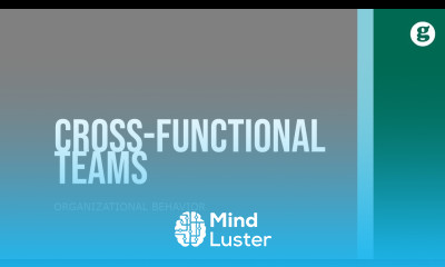 Learn Cross Functional Teams - Mind Luster