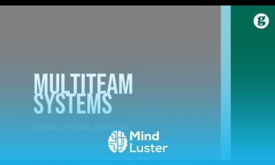Learn Multiteam Systems - Mind Luster