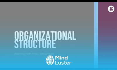 Learn What is Organizational Structure - Mind Luster
