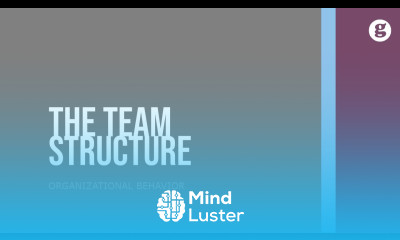 Learn The Team Structure - Mind Luster