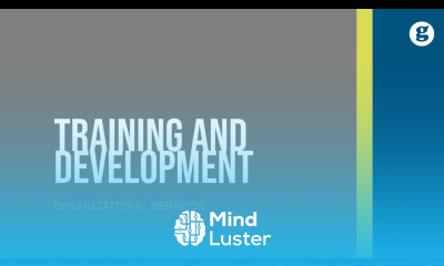 Learn Training and Development Programs - Mind Luster