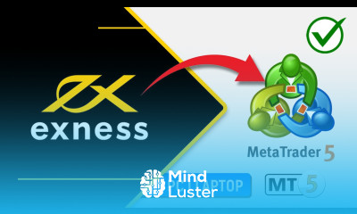 Learn How to Link or Connect Exness Broker to MetaTrader 5 MT5 PC or Laptop - Mind Luster