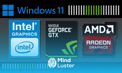 Learn Windows 11 How To Check Which Graphics Card You Have On Windows ...