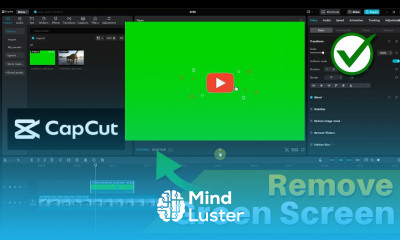 Learn How to Remove Green Screen in CapCut on PC Laptop CapCut Chroma ...