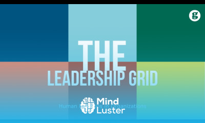 Learn The Leadership Grid - Mind Luster