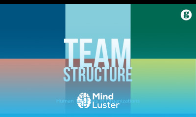 Learn Team Structure - Mind Luster