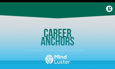 Learn Career Anchors - Mind Luster