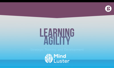 Learn Learning Agility - Mind Luster