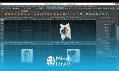 Learn 03 Importing reference Image - Mind Luster