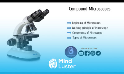 Learn Compound Microscopes Biomedical Engineers TV - Mind Luster