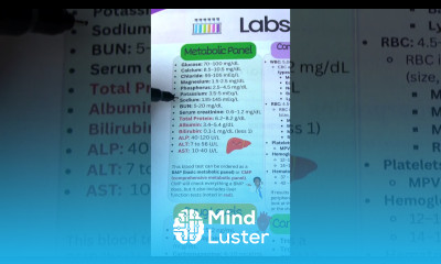 Learn BMP vs CMP Metabolic Panel Nursing Lab Values for NCLEX in Less ...