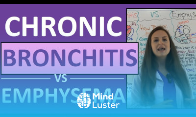 Learn Chronic Bronchitis vs Emphysema Pathophysiology Treatment Nursing ...