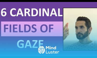 Learn Six Cardinal Fields of Gaze Nursing Nystagmus Eyes Cranial Nerve ...