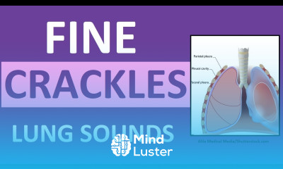 Learn Crackles Fine Lung Sounds Crackles and Rales Breath Sounds ...
