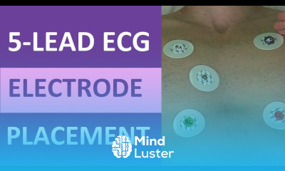 Learn 5 Lead ECG Placement of Electrodes EKG NCLEX Nursing Mnemonic ...