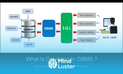 Learn What Is Database Beginners Introduction To Database In DBMS - Mind Luster