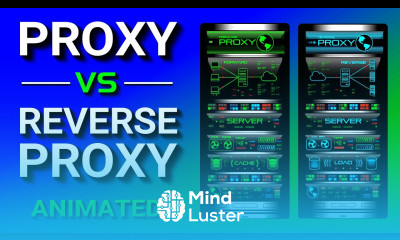 Learn Proxy vs Reverse Proxy Explained - Mind Luster