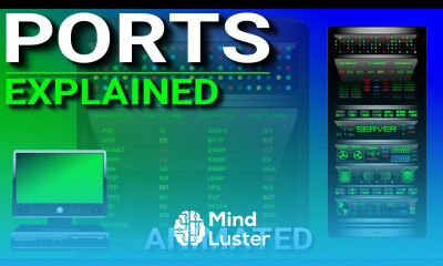 Learn Network Ports Explained - Mind Luster