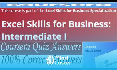 Excel skills for business specialization - Mind Luster