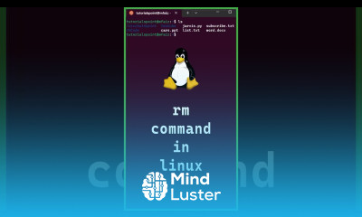 Learn 4 10 Basic Linux Commands rm command in linux shorts linux linuxcommands - Mind Luster