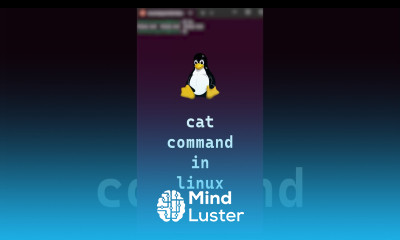 Learn 5 10 Basic Linux Commands cat command in linux shorts linux linuxcommands - Mind Luster