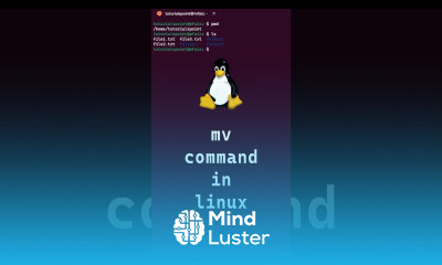 Learn 7 10 Basic Linux Commands mv command in linux shorts linux linuxcommands - Mind Luster