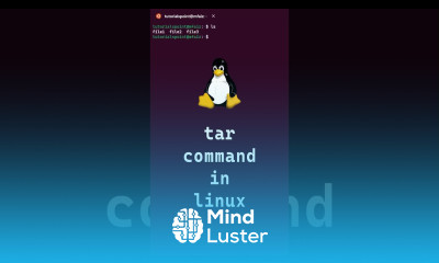 Learn 10 10 Basic Linux Commands tar command in linux shorts linux linuxcommands - Mind Luster