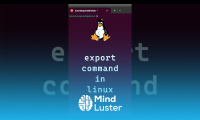 Learn Export Command in Linux Linux Commands shorts linux - Mind Luster