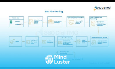 Learn Fine Tuning 360DigiTMG - Mind Luster